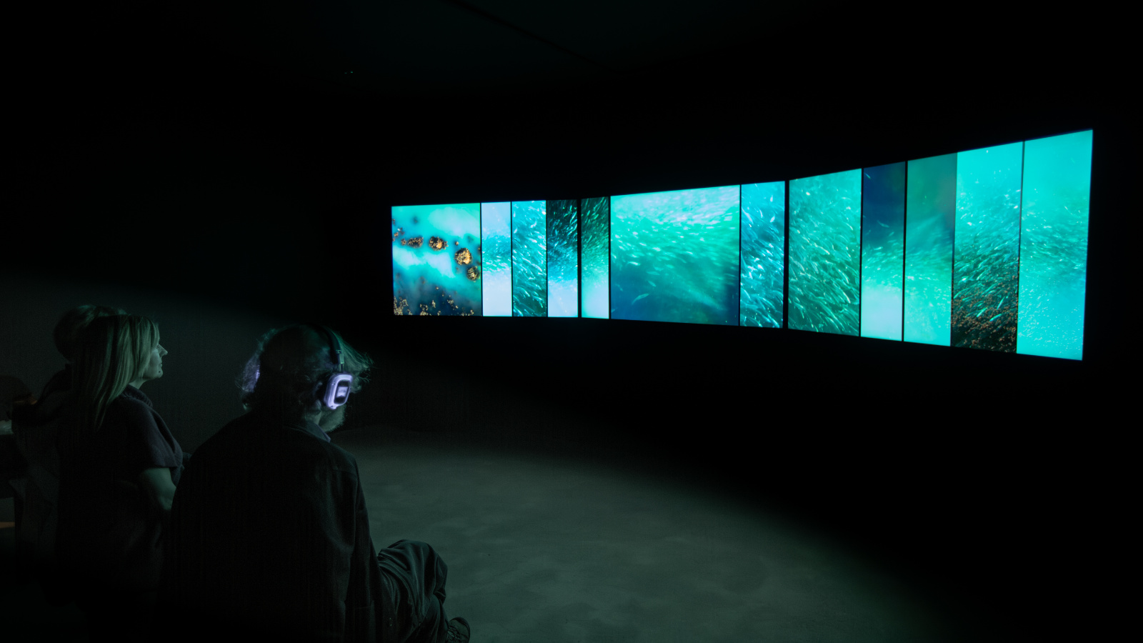 GO FISH - qathet ART